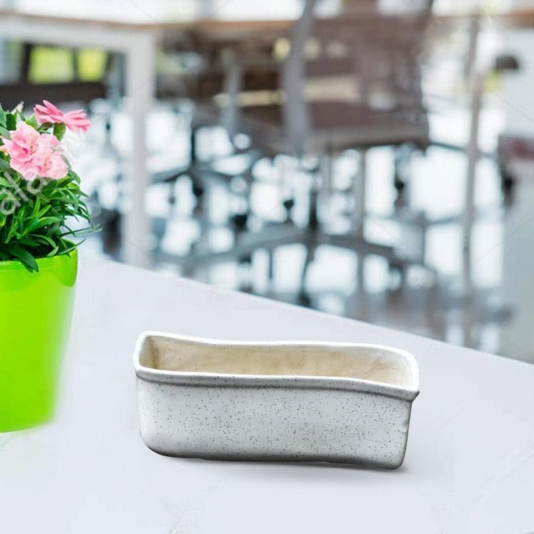 White Ceramic Rectangle Pot with Dots- Buy Online |Trivandrum Gardentech