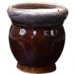 Brown Decorative Ceramic Pot Planter - Buy Online |Trivandrum Gardentech
