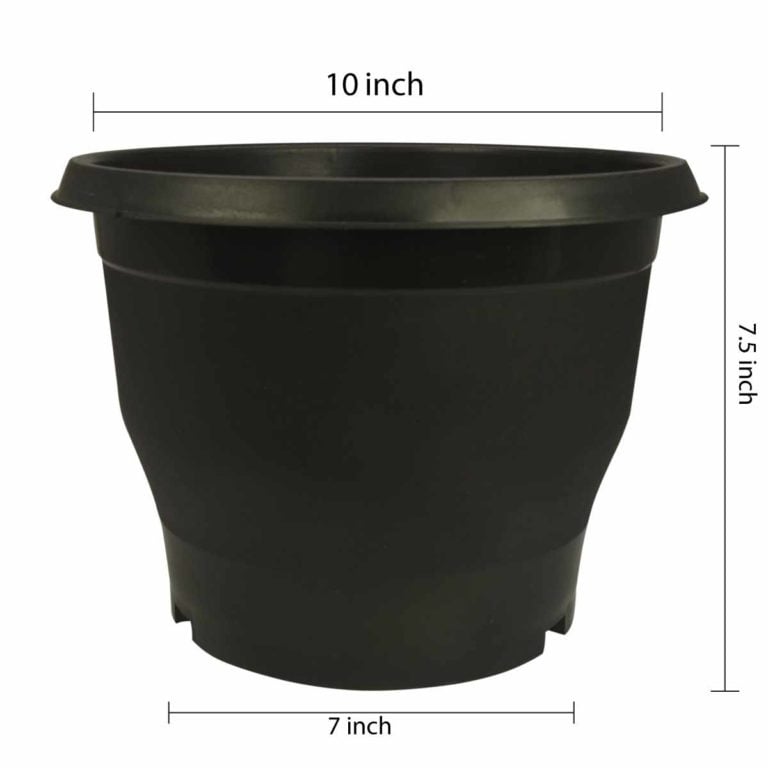 Plastic 10 Inch Planter Pot for Home Buy Online | Trivandrum Gardentech